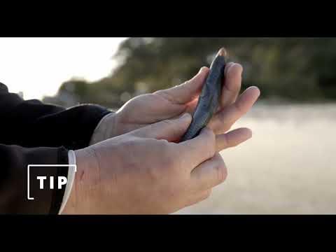 The Reaper Rig - Lure us In – Lure Us In Pty Ltd